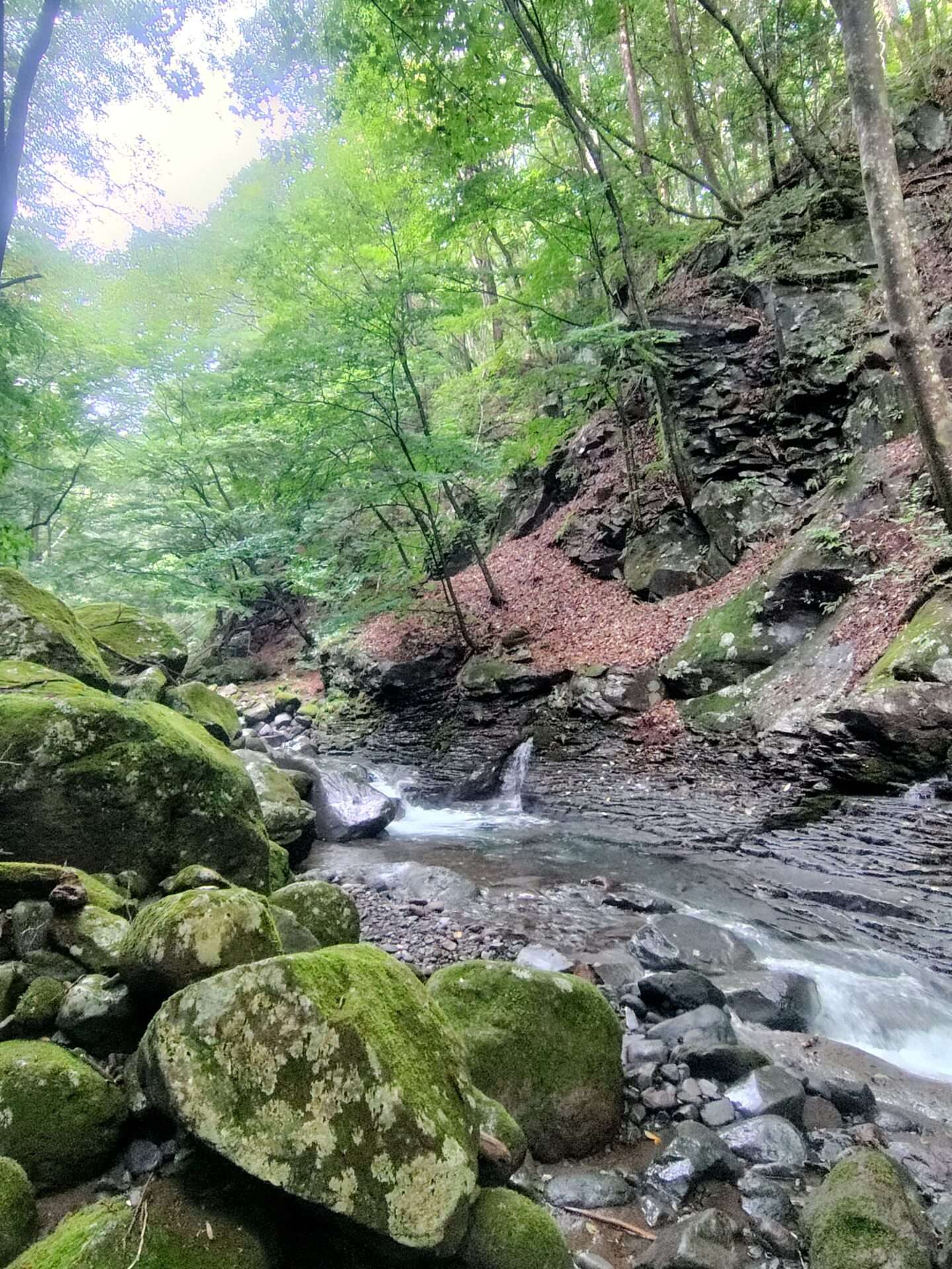 Fly fishing in Japan (Hokuto, Yamanashi) - Hello Inaka : Intimate ...